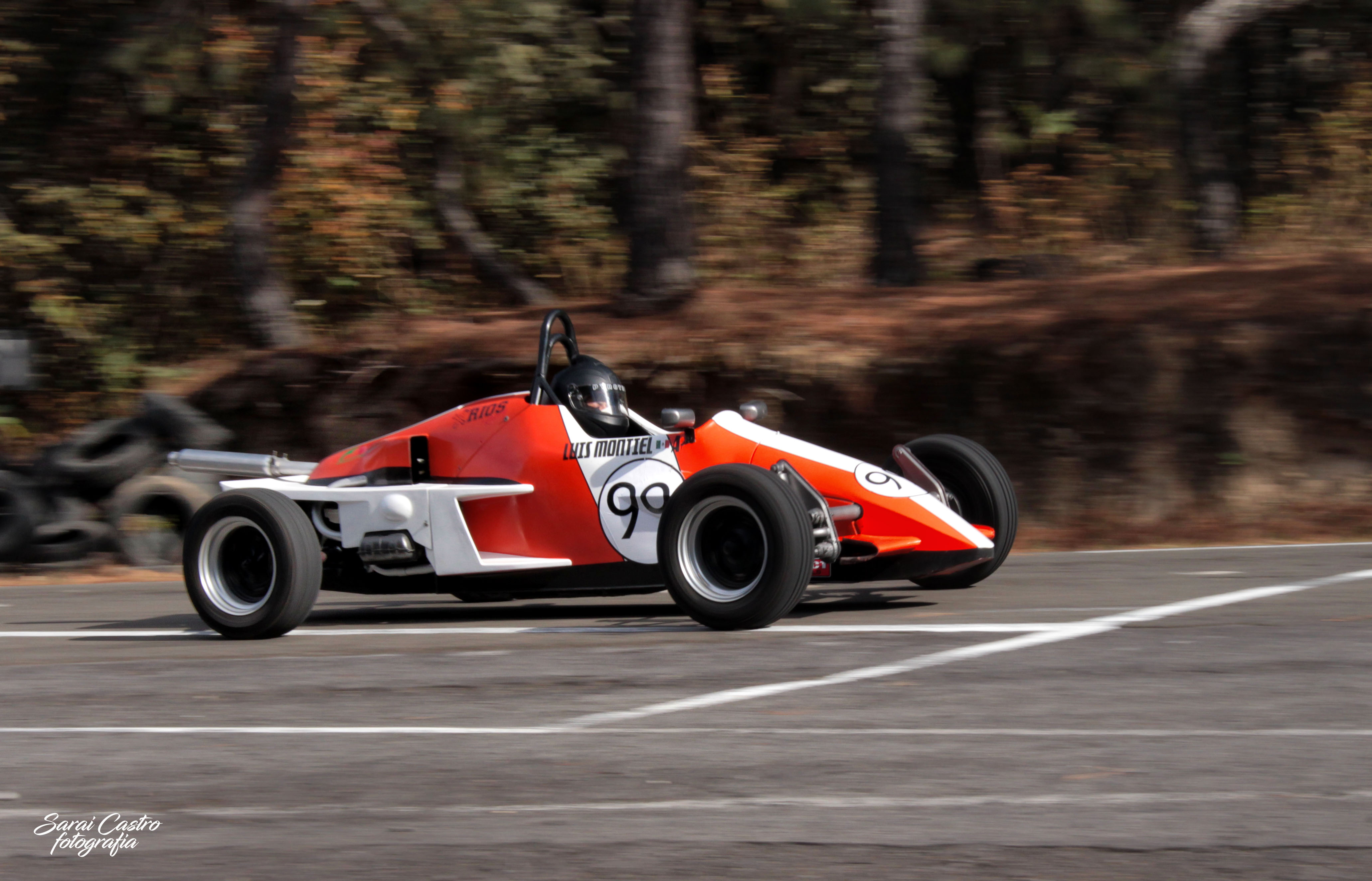 VECTOR | FORMULA VEE MÉXICO